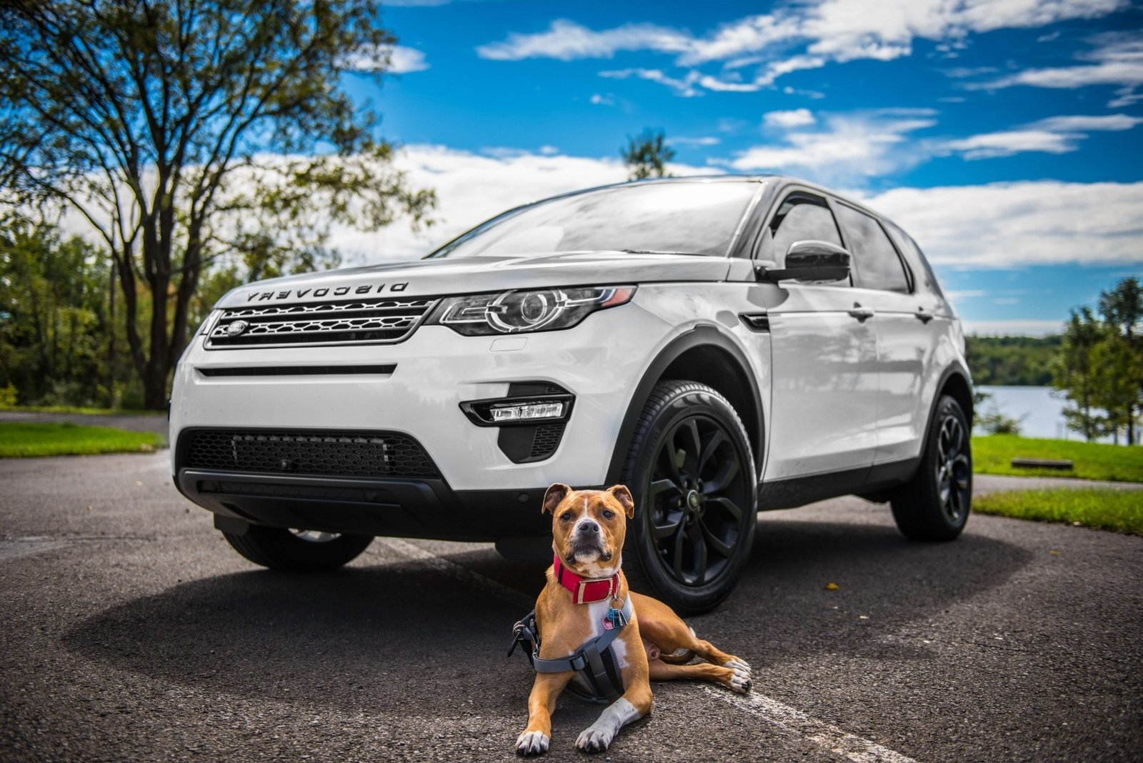 Información sobre vehículos